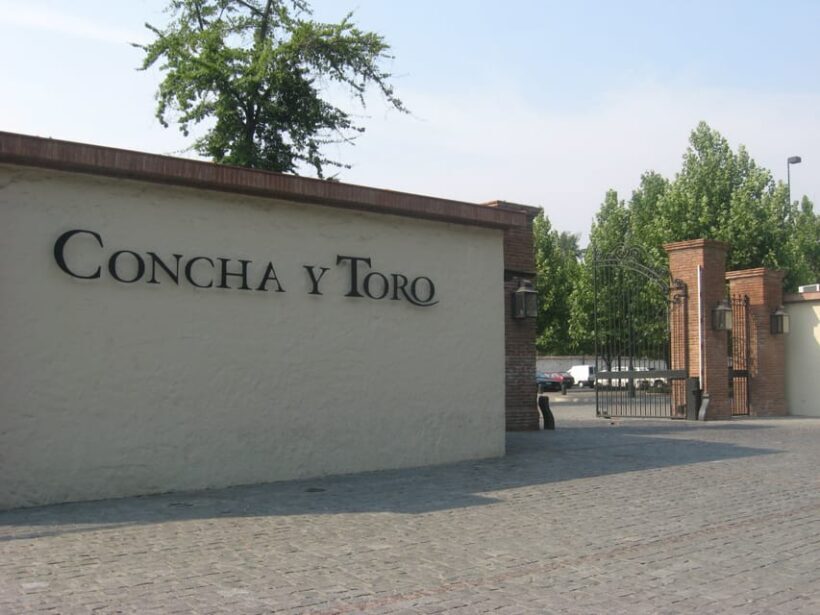 Santiago: Concha y Toro and Undurraga Vineyards Tour - Final Thoughts: Who Will Love This Tour?