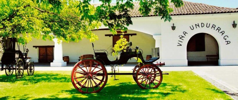 Santiago: Concha y Toro and Undurraga Vineyards Tour - FAQ