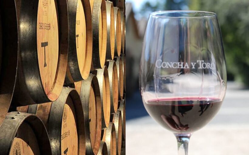 Santiago: Concha y Toro Vineyard Tour w/ Transfer & Tasting - How to Make the Most of It