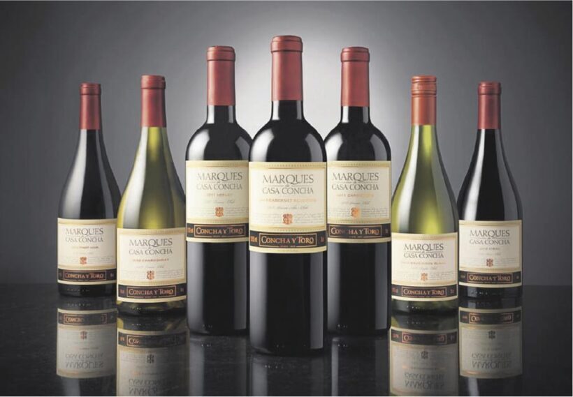 Santiago: Concha y Toro Winery 4Hour Tour & Sommelier Class - Key Points