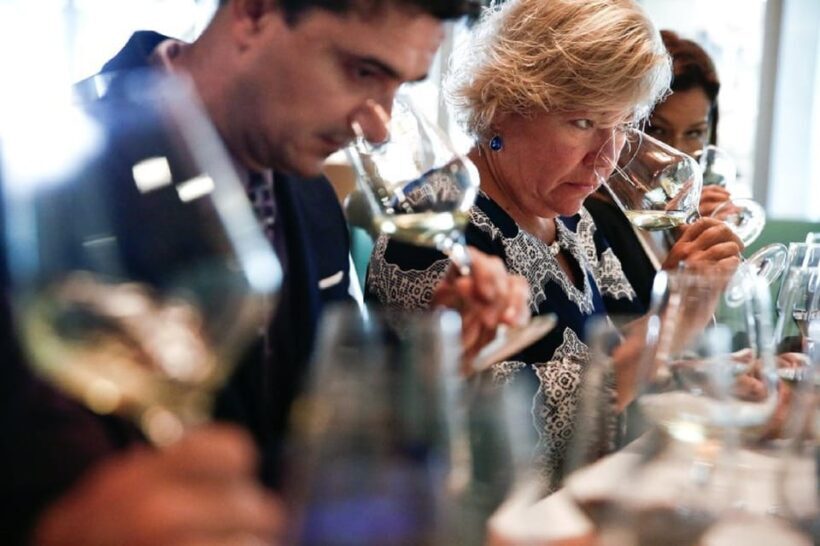 Santiago: Concha y Toro Winery 4Hour Tour & Sommelier Class - Why This Tour Offers Real Value