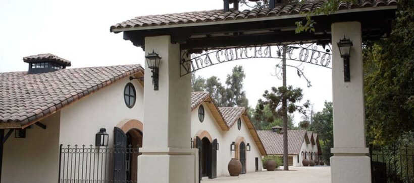Santiago: Concha y Toro Winery 4Hour Tour & Sommelier Class - The Atmosphere and Setting