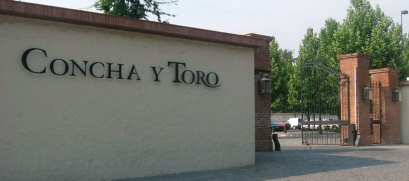 Santiago: Concha y Toro Winery 4Hour Tour & Sommelier Class - Who Will Love This Tour?