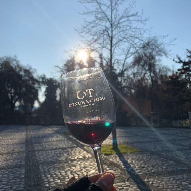 Santiago: Concha y Toro with transfer, tasting & gift cup - An Authentic Glimpse Into Chiles Largest Winery