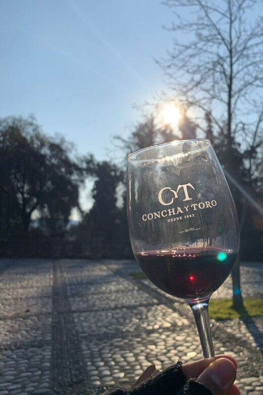 Santiago: Concha y Toro with transfer, tasting & gift cup - Visiting the Cellars and the Legend of Casillero del Diablo