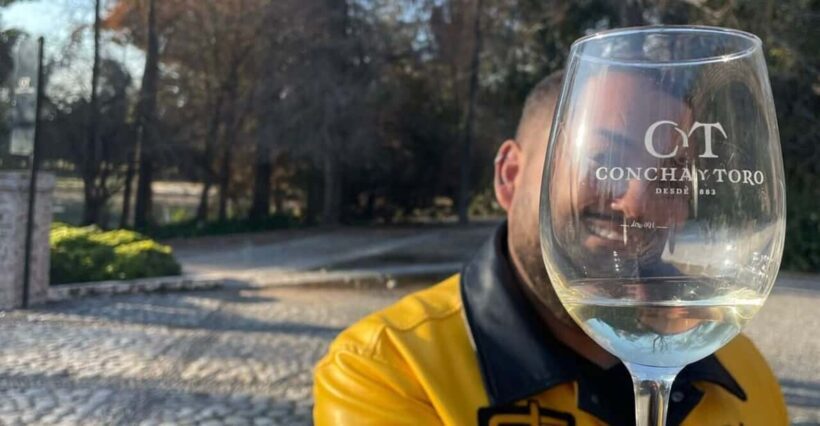 Santiago: Concha y Toro with transfer, tasting & gift cup - The Wine Shop and Shopping Opportunity