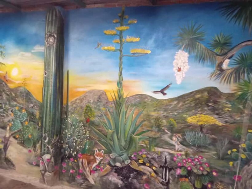 Santiago de Anaya, Hidalgo: Food tour. Experience among stoves. - Key Points