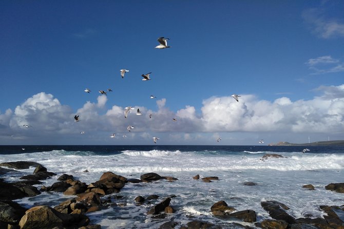 Santiago de Compostela: Finisterre, Muxía & Costa da Morte - Final Thoughts