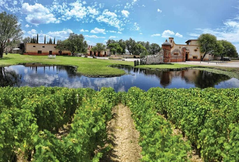 Santiago de Querétaro: Pueblos Mágicos Cheese and Wine Route - An In-Depth Look at the Cheese and Wine Route