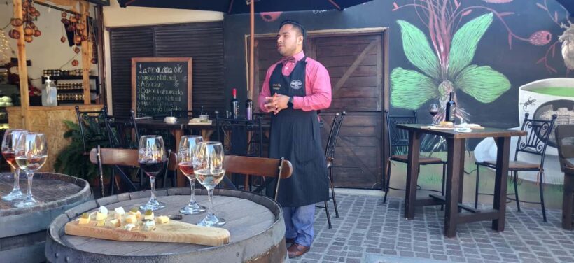 Santiago de Querétaro: Pueblos Mágicos Cheese and Wine Route - Practical Tips for Travelers