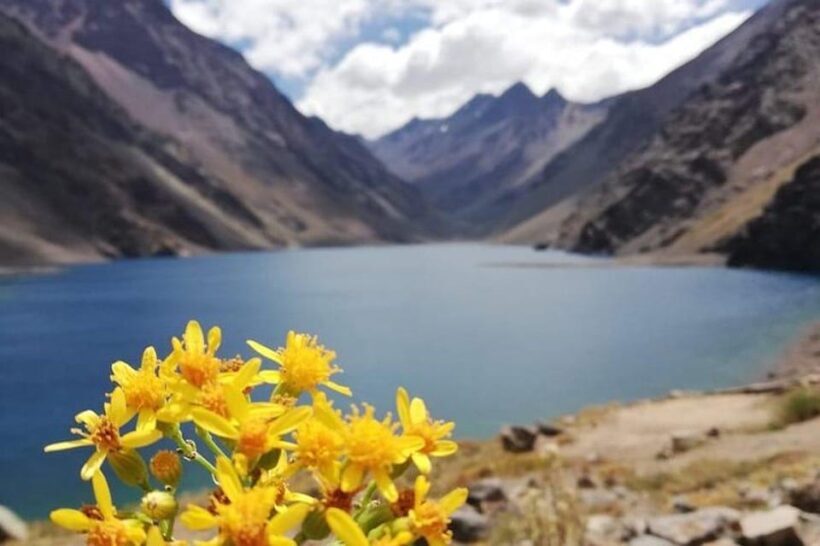 Santiago: Inca Lagoon Tour with Local Vineyard and Tasting - The Drive Through the Andes