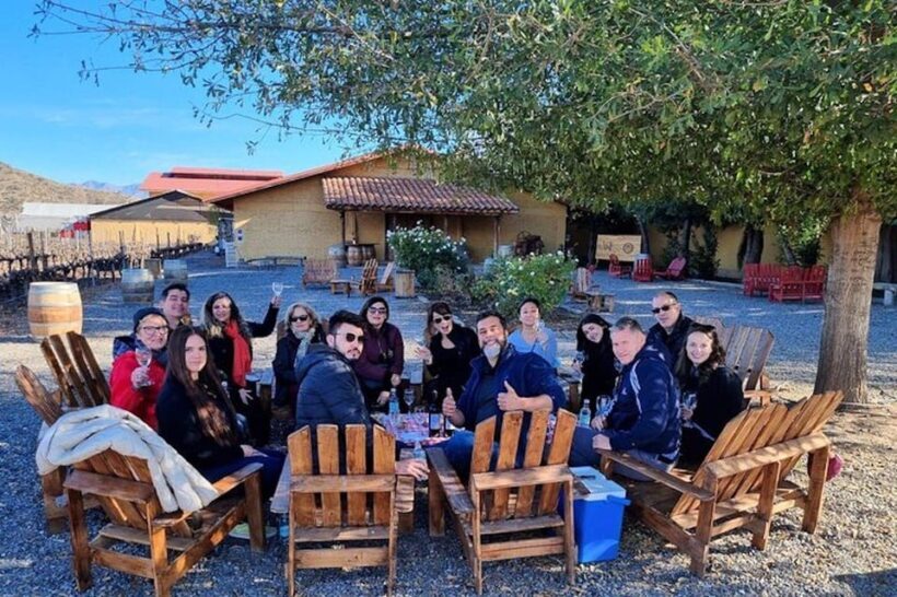 Santiago: Inca Lagoon Tour with Local Vineyard and Tasting - Portillo Ski Resort & Laguna del Inca