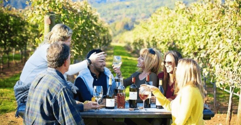 Santiago: Maipo Valley Wine Tasting Tour with 4 Vineyards - Key Points