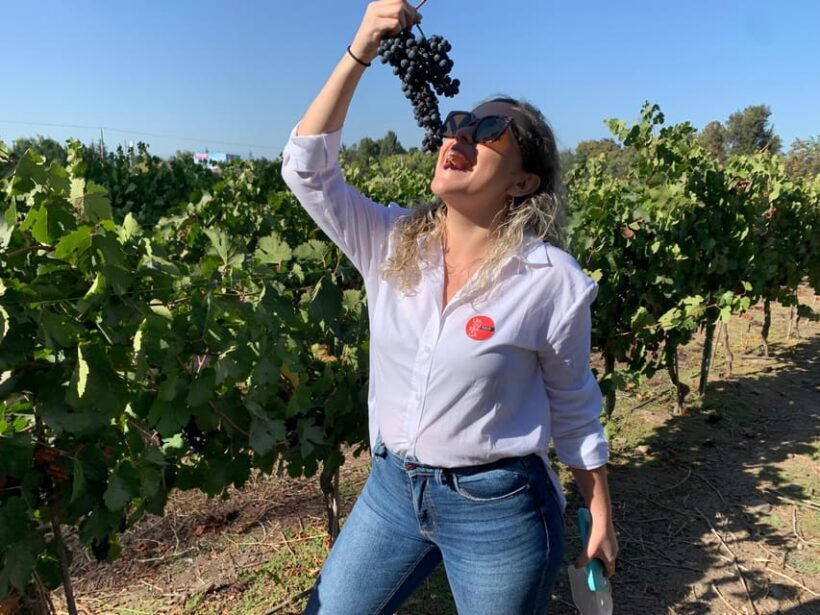 Santiago: Maipo Valley Wine Tasting Tour with 4 Vineyards - An In-Depth Look at the Maipo Valley Wine Tour