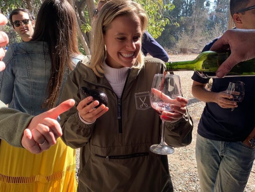 Santiago: Maipo Valley Wine Tasting Tour with 4 Vineyards - Frequently Asked Questions