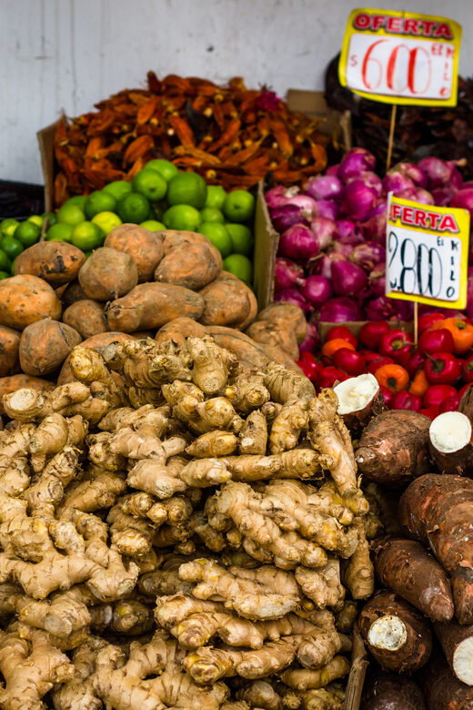 Santiago: Markets Bike Tour - The Ride Through Parque Forestal and Riverside