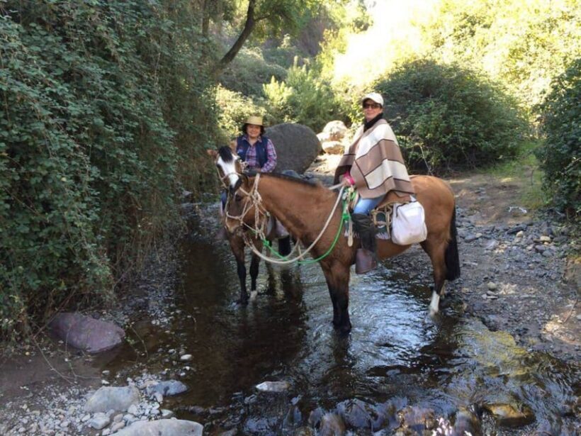 Santiago: Private Andes Foothills Horseback Riding. Half day - The Sum Up