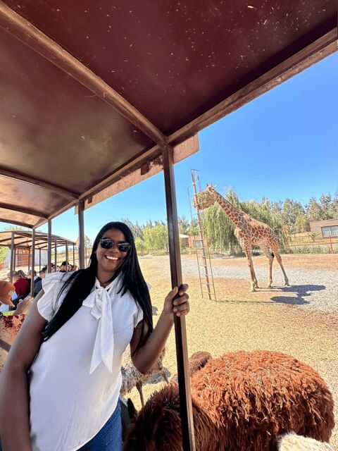 Santiago: Safari Rancagua Tour - Key Points