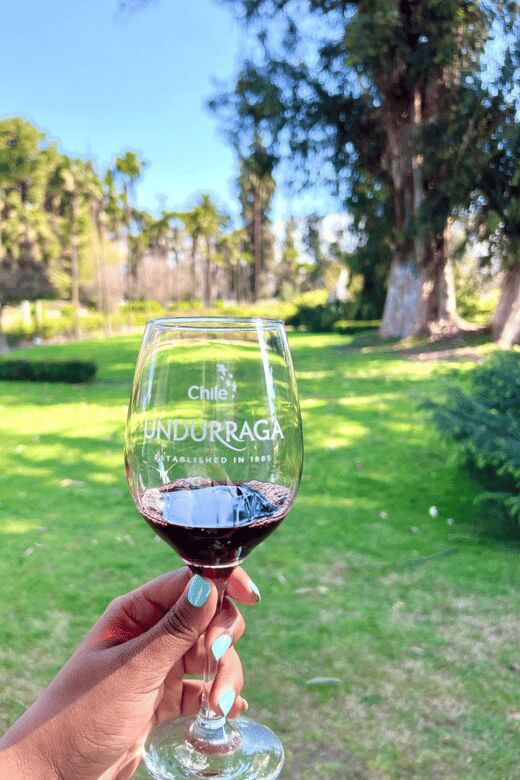 Santiago: Tour to Isla Negra, Algarrobo and Undurraga Wines - Authentic Insights from Travelers