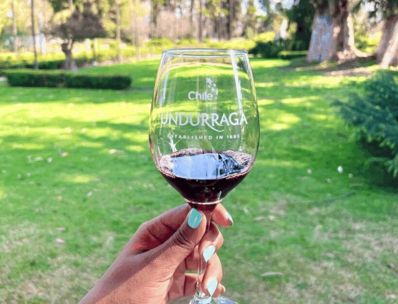 Santiago: Undurraga Winery Tour with Entry and Wine Tasting - Key Points
