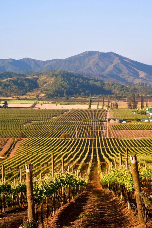 Santiago: Veramonte Vineyard, Isla Negra and Algarrobo, - The Sum Up