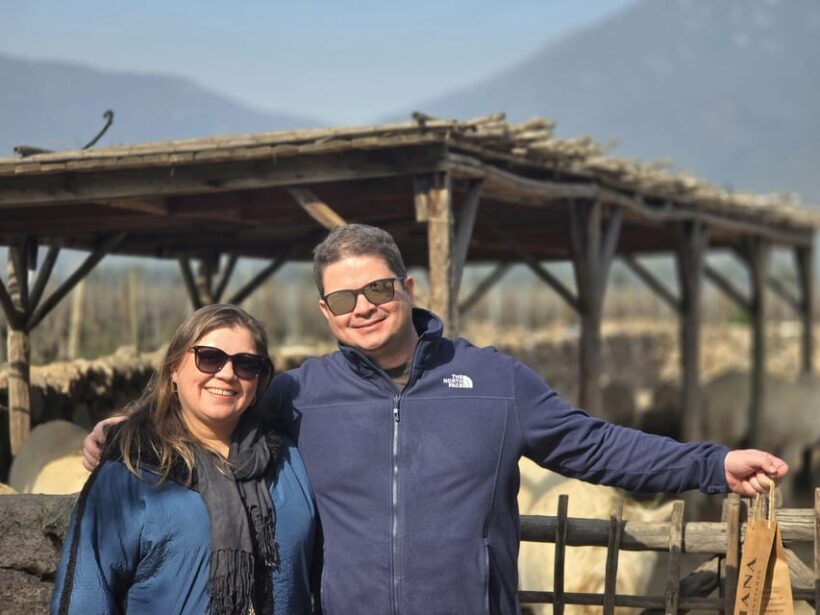 Santiago: World-class Wines, Visit to 4 Vineyards and Tanino - Key Points