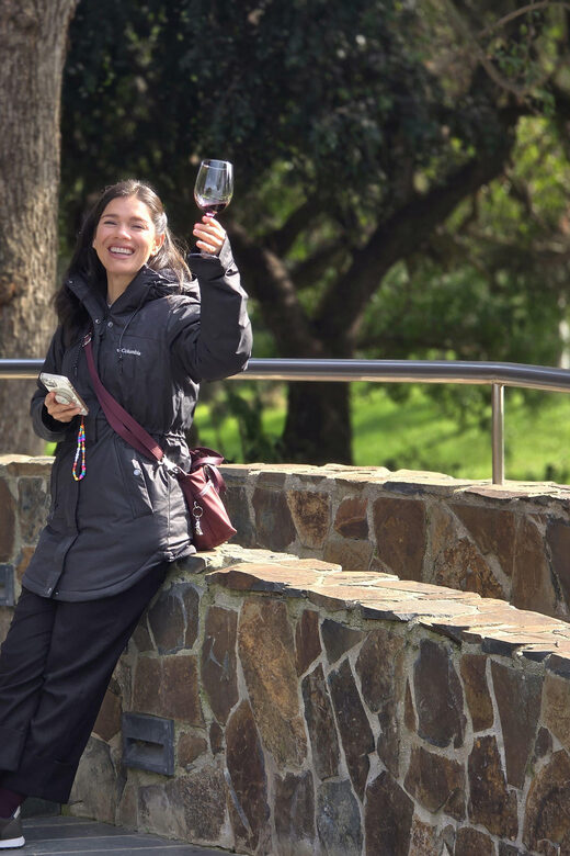 Santiago: World-class Wines, Visit to 4 Vineyards and Tanino - Who Should Consider This Tour?