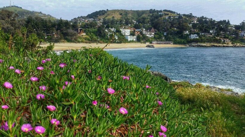 Santiago: Zapallar Beach Private Day Trip - An Authentic Day Trip: What to Expect