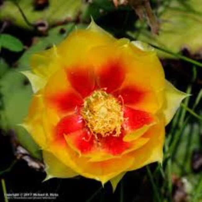 Santo Domingo: 3 Eyes Park & Botanical Garden Tour - Starting at Three Eyes National Park — Nature’s Underground Symphony