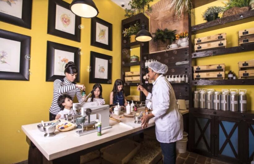 Santo Domingo: Chocolate Tour + Optional Workshops - An Introduction to the Santo Domingo Chocolate Tour