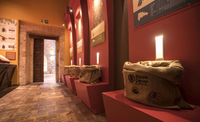 Santo Domingo: Chocolate Tour + Optional Workshops - Analyzing Value and Experience