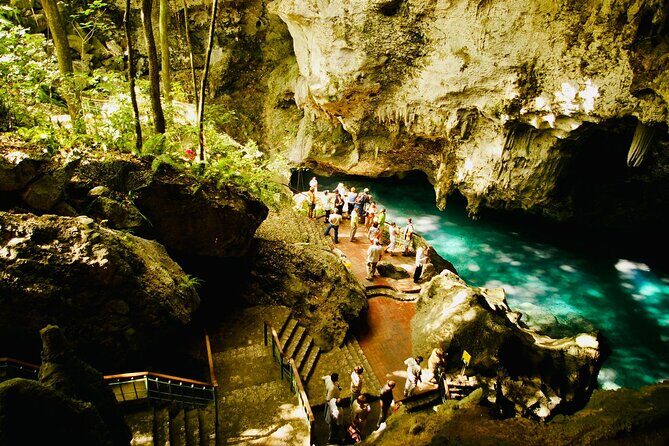 Santo Domingo Full Day Tour From Punta Cana with Lunch & Cenote - Who Should Consider This Tour?