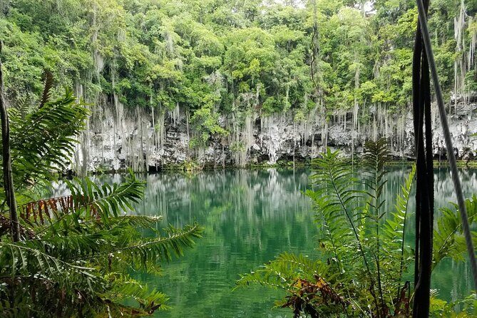 Santo Domingo Full Day Tour from Punta Cana with Lunch - Breakdown of the Itinerary: What You Can Expect