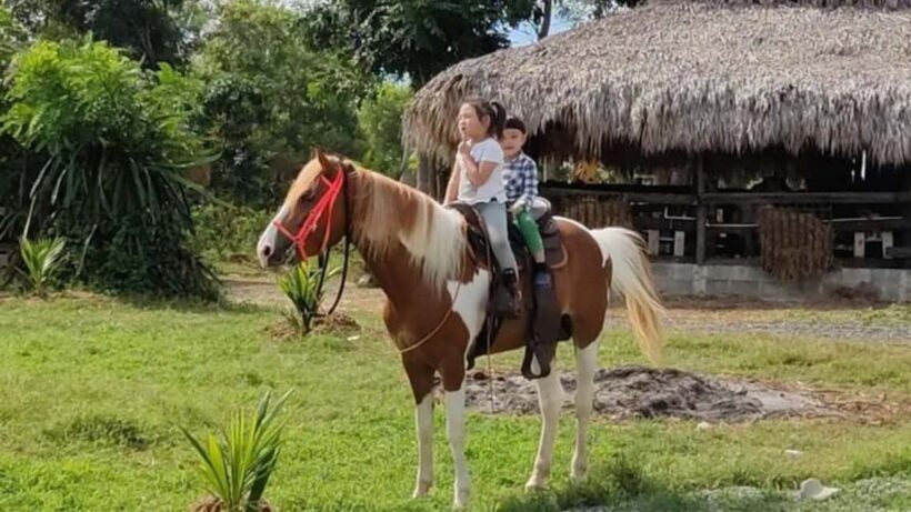 Santo Domingo: Horseback Riding - Round Trip Transportation - An Authentic Ride in the Dominican Countryside