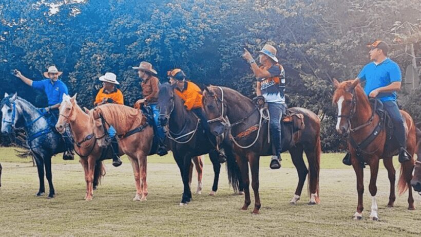 Santo Domingo: Horseback Riding - Round Trip Transportation - Final Thoughts: Who Will Love This Tour?