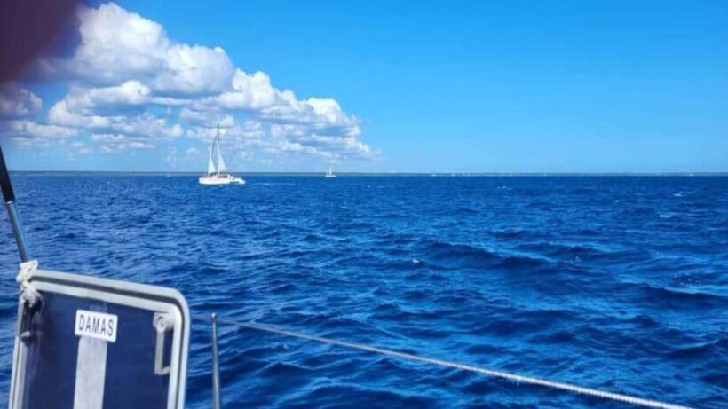 Santo Domingo: Isla Saona Day Trip with Lunch & Drinks - Who Would Enjoy This Tour Most?