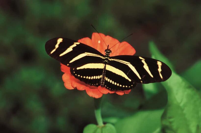 Santo Domingo: Natural Treasures of the City - Who Would Enjoy This Tour?