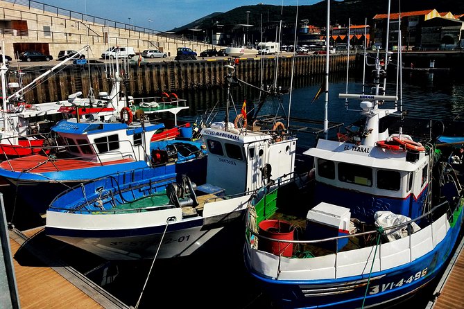 Santoña: Anchovy Factory & Boat Trip with tickets-small groups - FAQs