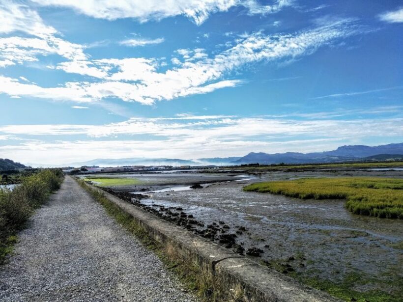 Santona: Canning Factory and the Marshes Tour with Tasting - Practical Details