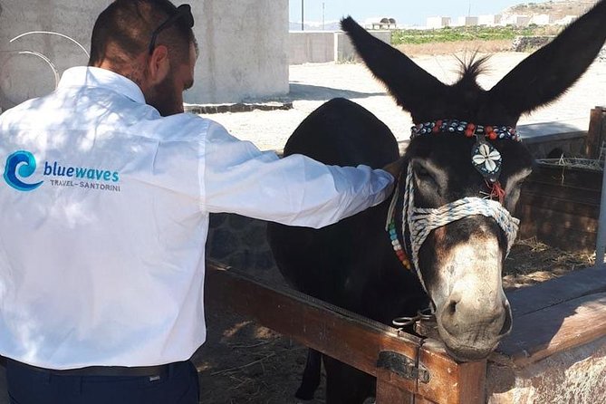 Santorini 4 hours Private Tour : Visit all the hotspots - FAQ