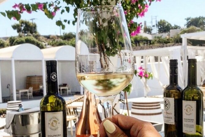 Santorini: 4hr Private Wine Tasting Tour - Since You Asked