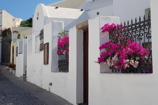 Santorini: 6hr Small Group Shore Excursion Villages & Wine - Wine Tasting Experience
