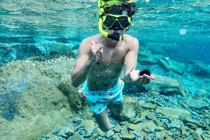 Santorini Caldera Day Traditional Cruise With Meal and Drinks - Cruise Itinerary and Activities