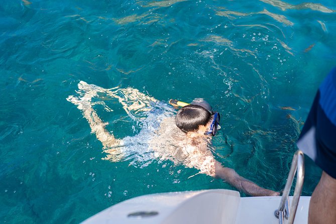 Santorini Caldera Gold Day Cruise With BBQ on Board and Open Bar - What to Expect on Your Day Cruise