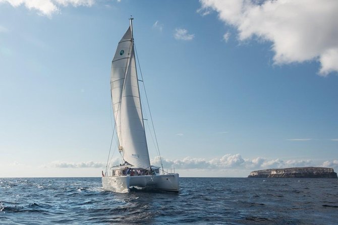 Santorini Caldera Sailing Tour with BBQ Lunch and Drinks - FAQ