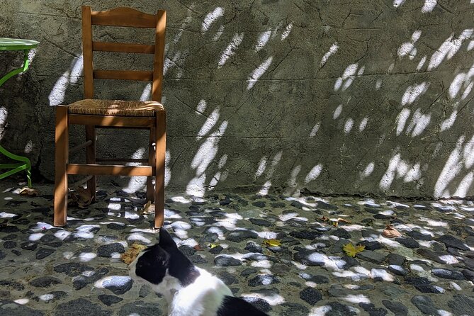 Santorini Classic Highlights and Sightseeing Private Tour - Personalized Service and Customization