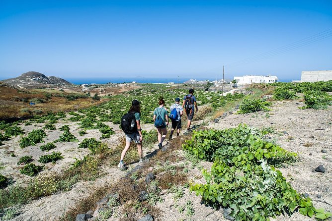Santorini : Cooking Class & Easy Hike - Pricing and Value