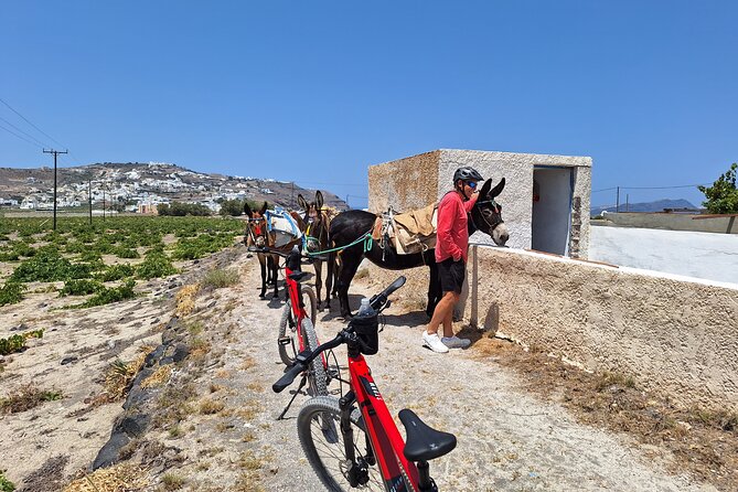 Santorini: E-Bike Tour Experience - Suitability and Accessibility of the Tour