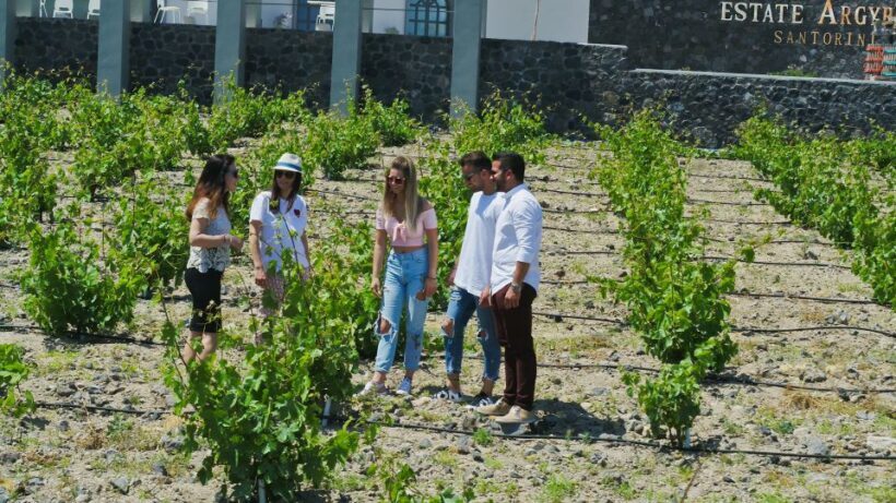 Santorini: Explore Southern Part with Wine Tasting - Key Points