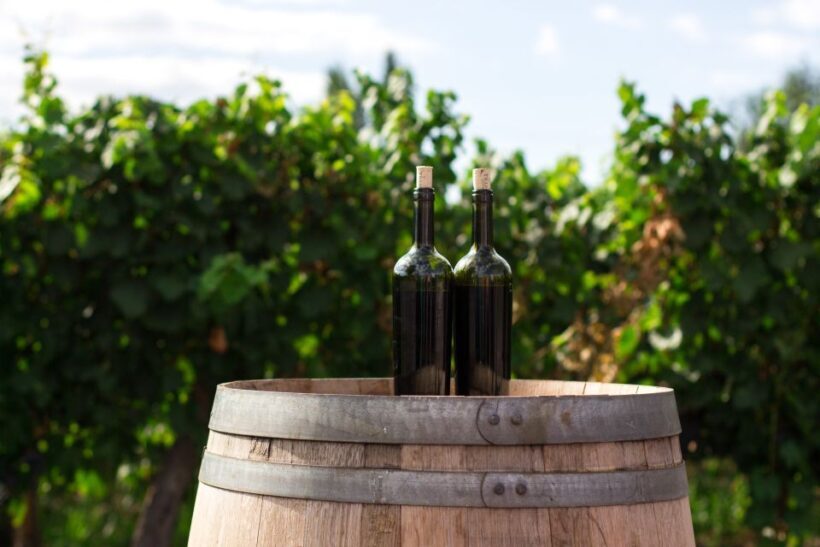 Santorini: Greek Cooking Class with Wine Tasting - Santorini: Greek Cooking Class with Wine Tasting — A Flavorful Journey